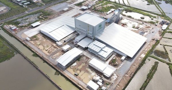 PROGRESS UPDATE - CP. CA MAU AQUATIC FEED FACTORY PROJECT